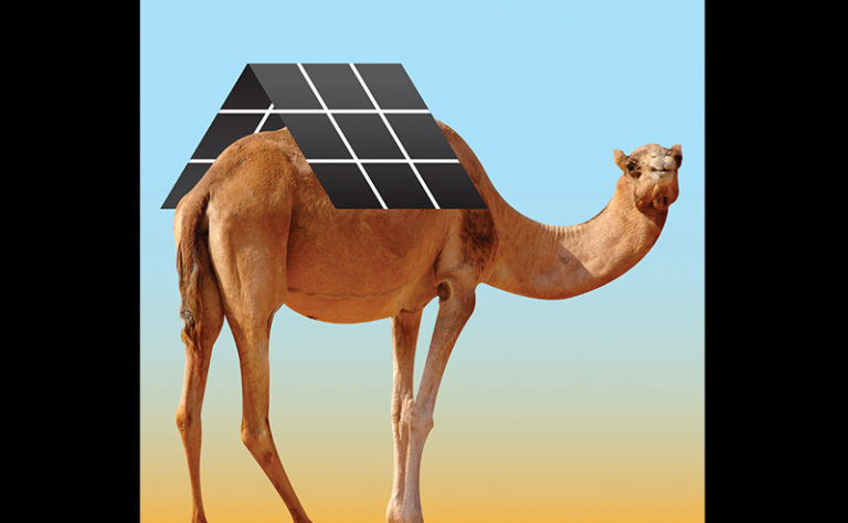 Modern MacGyvers: Innovations for a Developing World | World Science ...