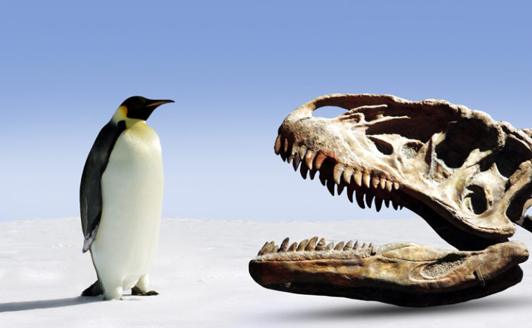 The Sixth Extinction | World Science Festival