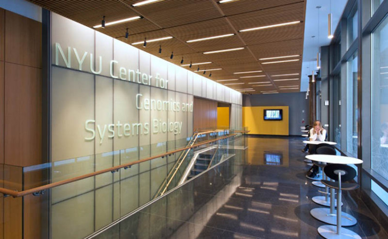 NYU Center for Genomics and Systems Biology | World Science Festival