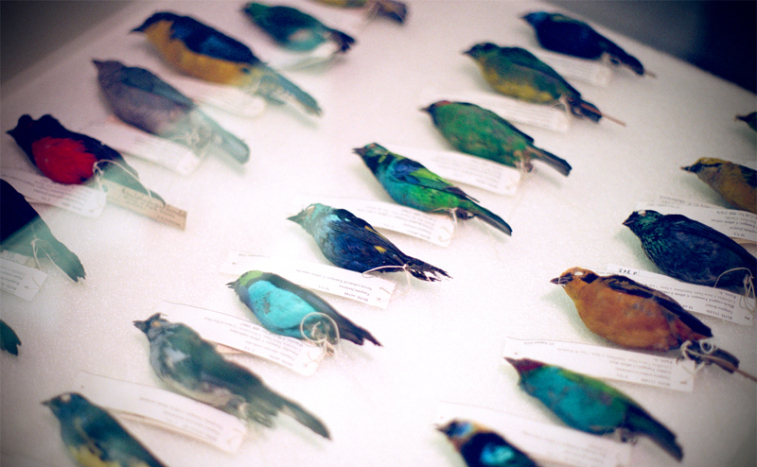 The Biggest Science Stories of 2014 | World Science Festival