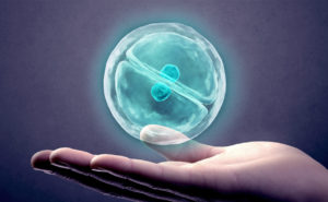 The Genius of Einstein: The Science, His Brain, the Man | World Science ...