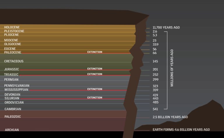 Have Humans Ushered In A New Geological Epoch? | World Science Festival
