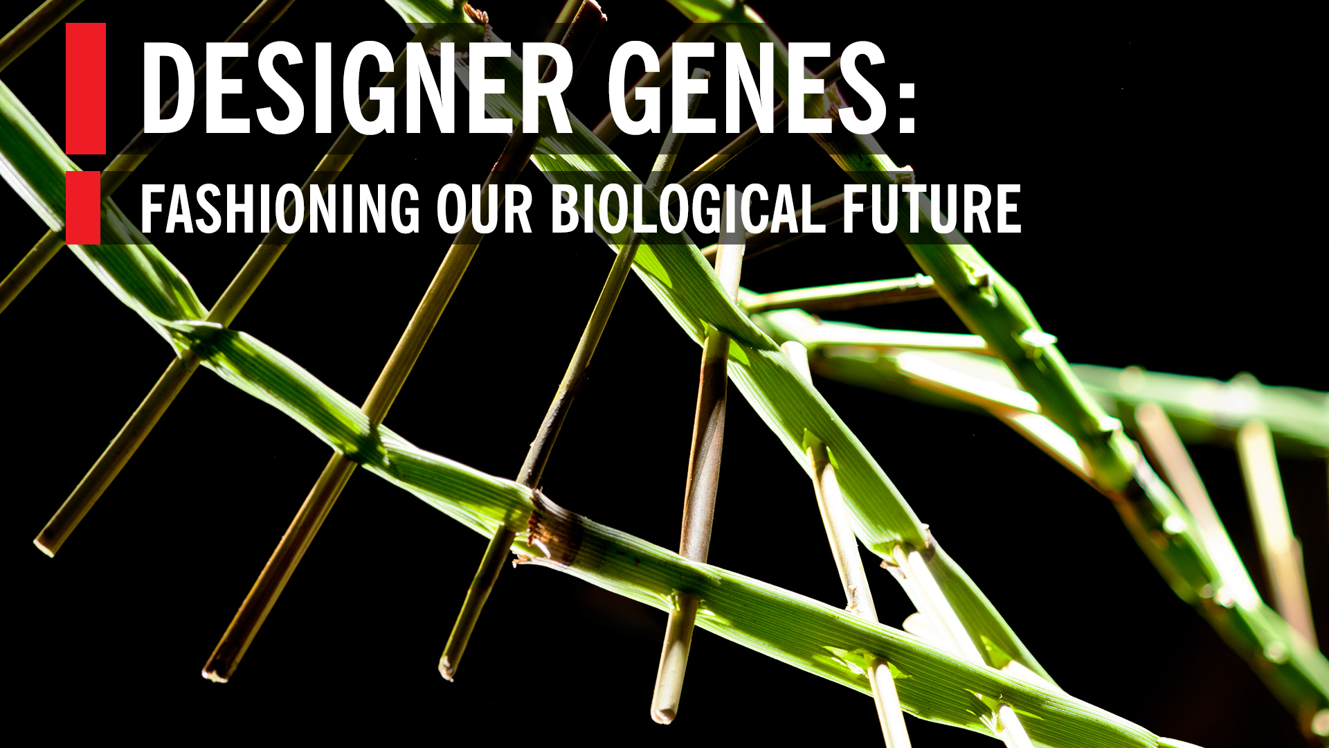 Designer Genes: Fashioning our Biological Future | World Science Festival