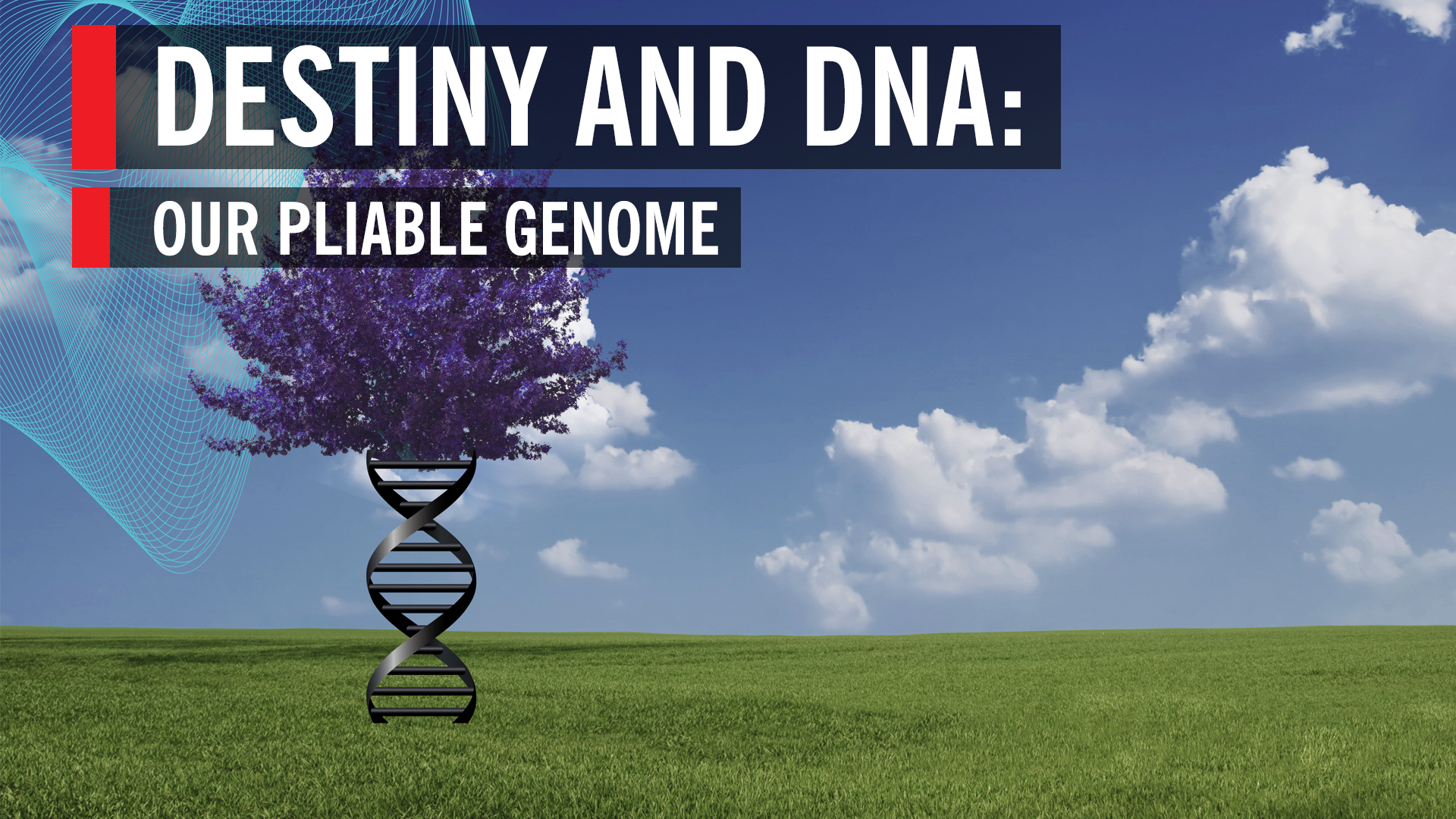 Destiny and DNA: Our Pliable Genome | World Science Festival