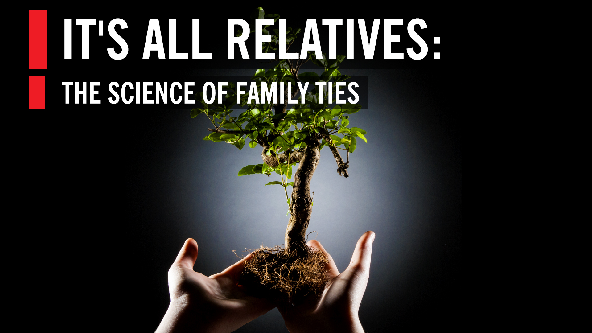 The Science Of Family Ties: It's All Relatives | World Science Festival