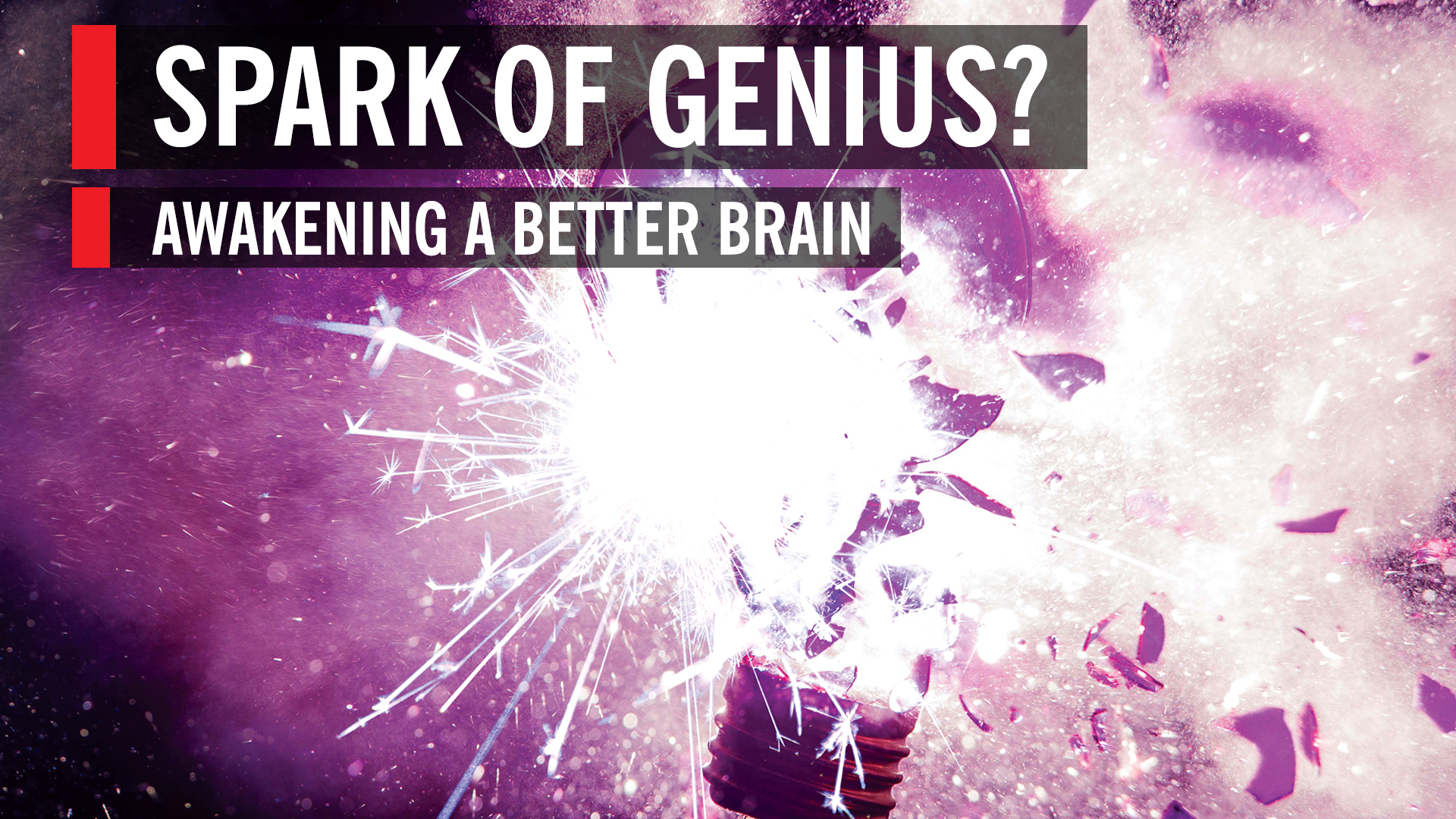 Spark of Genius? Awakening a Better Brain | World Science Festival
