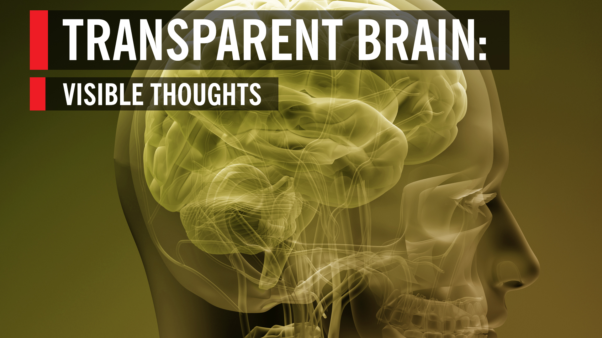 Transparent Brain: Visible Thoughts | World Science Festival