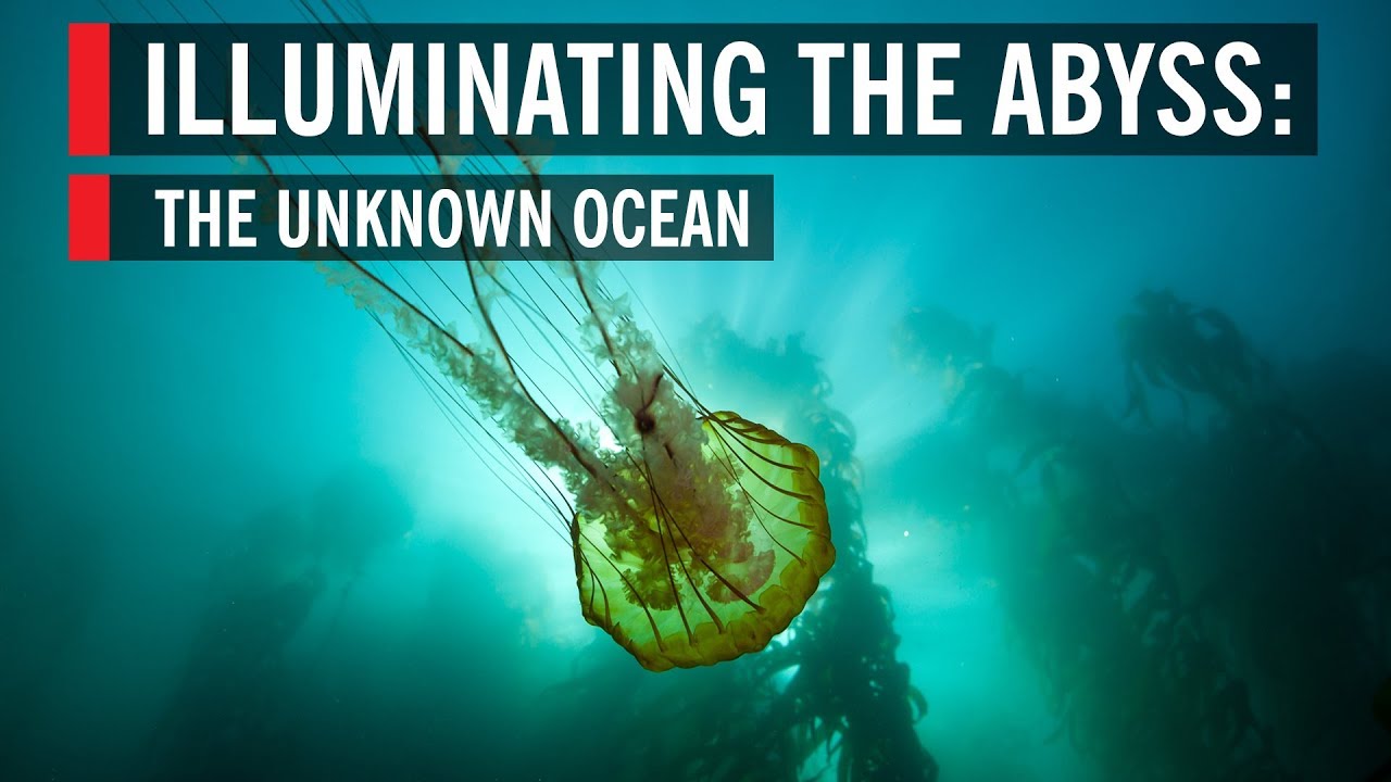 Illuminating the Abyss: The Unknown Ocean | World Science Festival