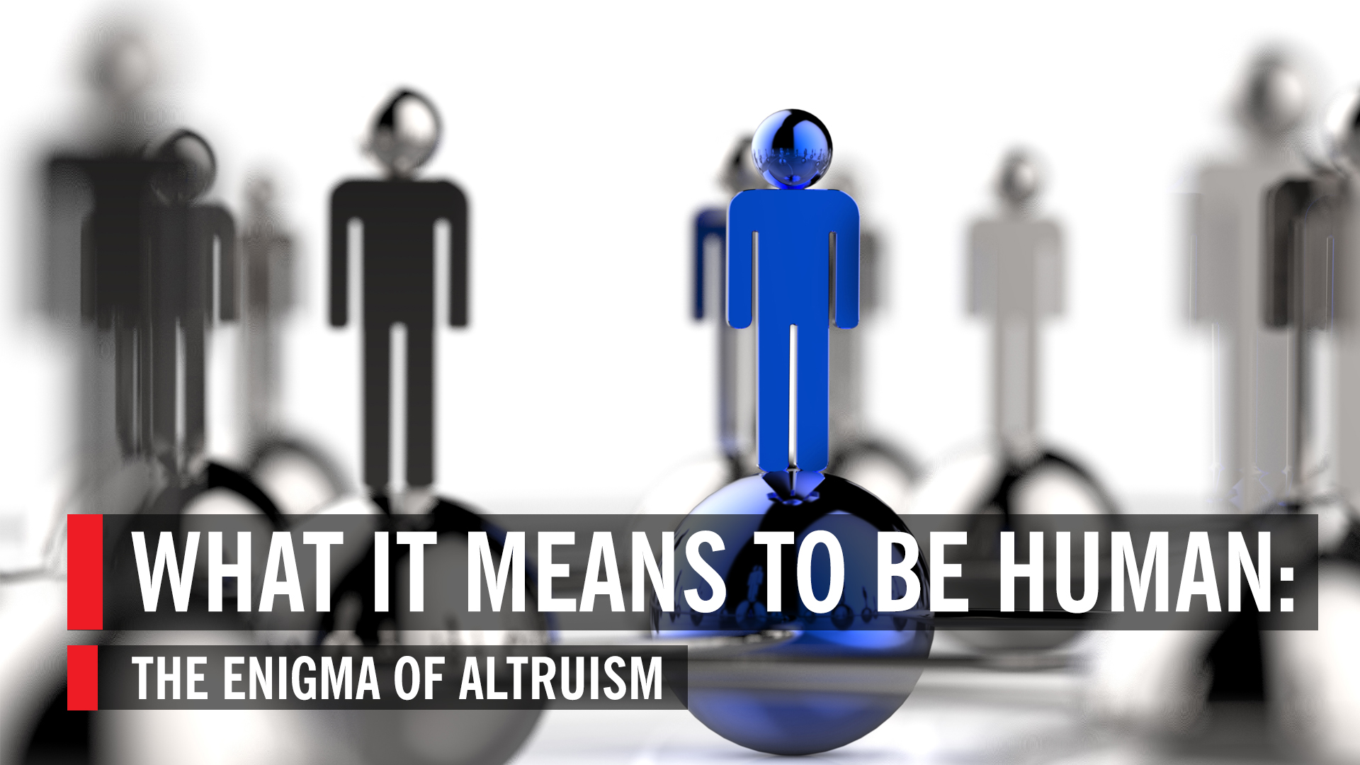 What It Means to Be Human: The Enigma of Altruism | World Science Festival