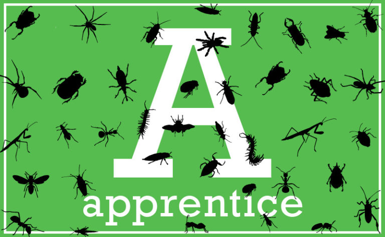 A BUG'S LIFE: Forensic Entomologist’s Apprentice | World Science Festival