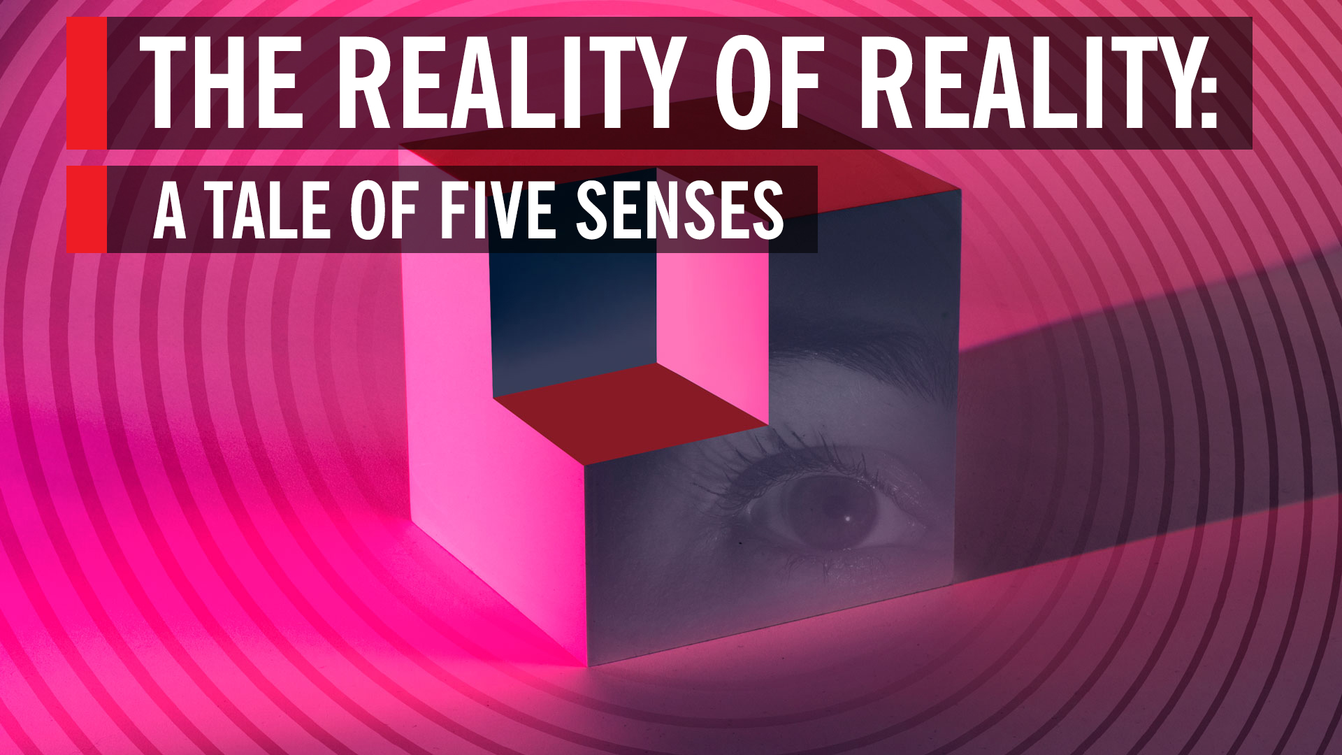 The Reality of Reality: A Tale of Five Senses | World Science Festival
