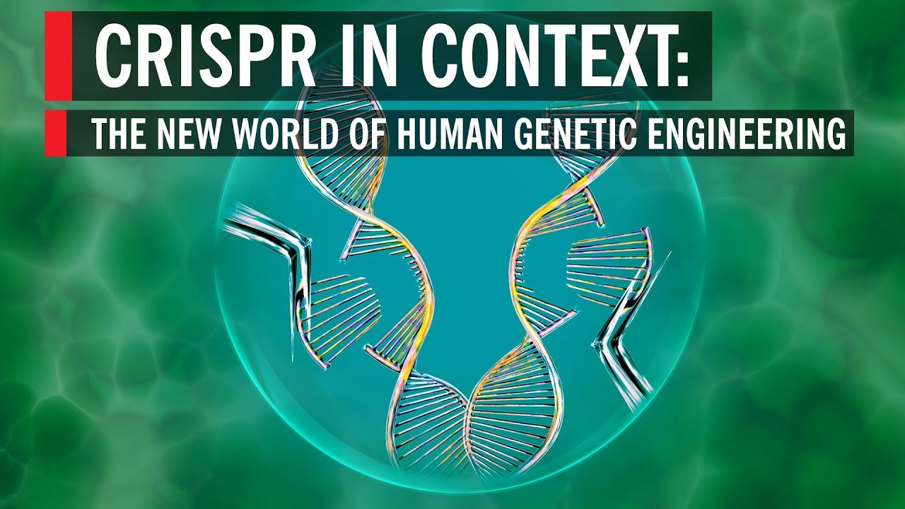 CRISPR in Context: The New World of Human Genetic Engineering | World ...